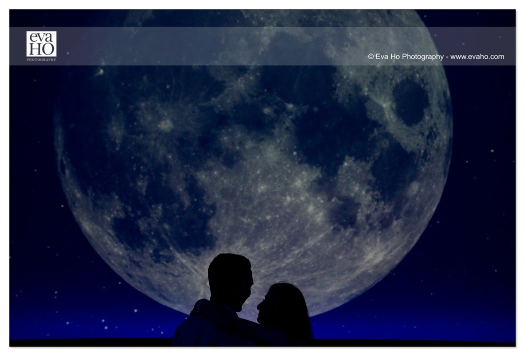 Adler_Planetarium_Proposal 5 – Chicago Wedding and Special Event ...